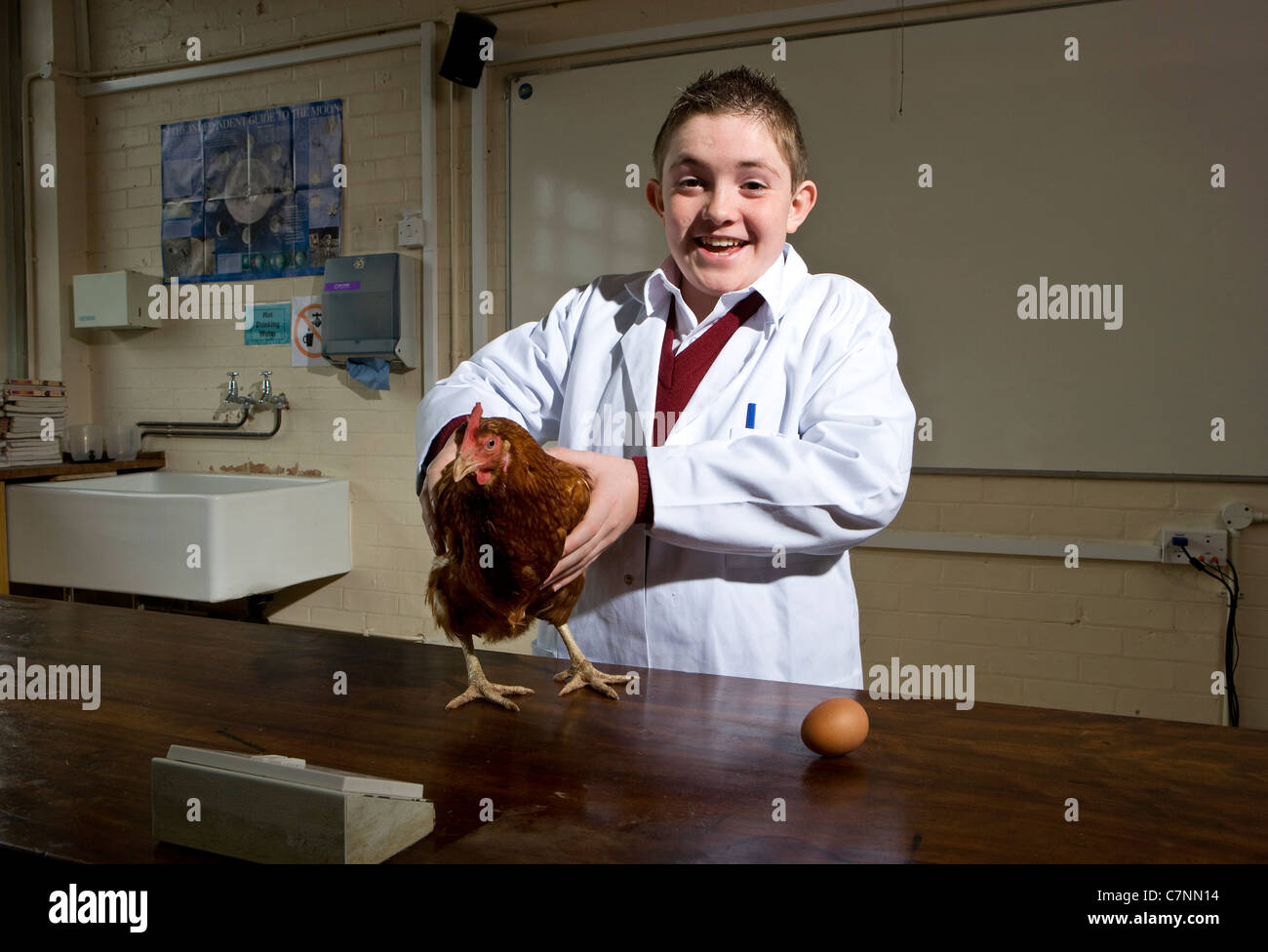 Which Came First, the chicken or the egg Stock Photo - Alamy