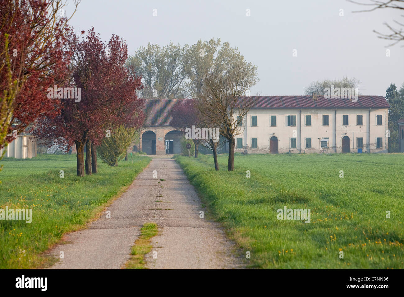 Old farm and country house, Italian countryside and natural landscape ...