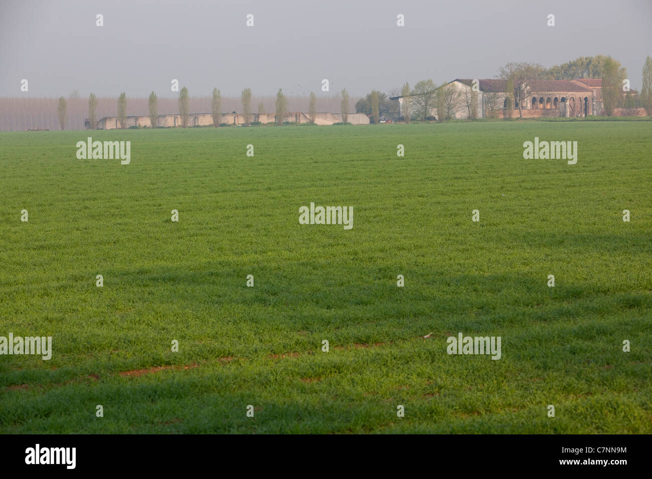 Old farm, country house in Italian countryside and natural landscape ...