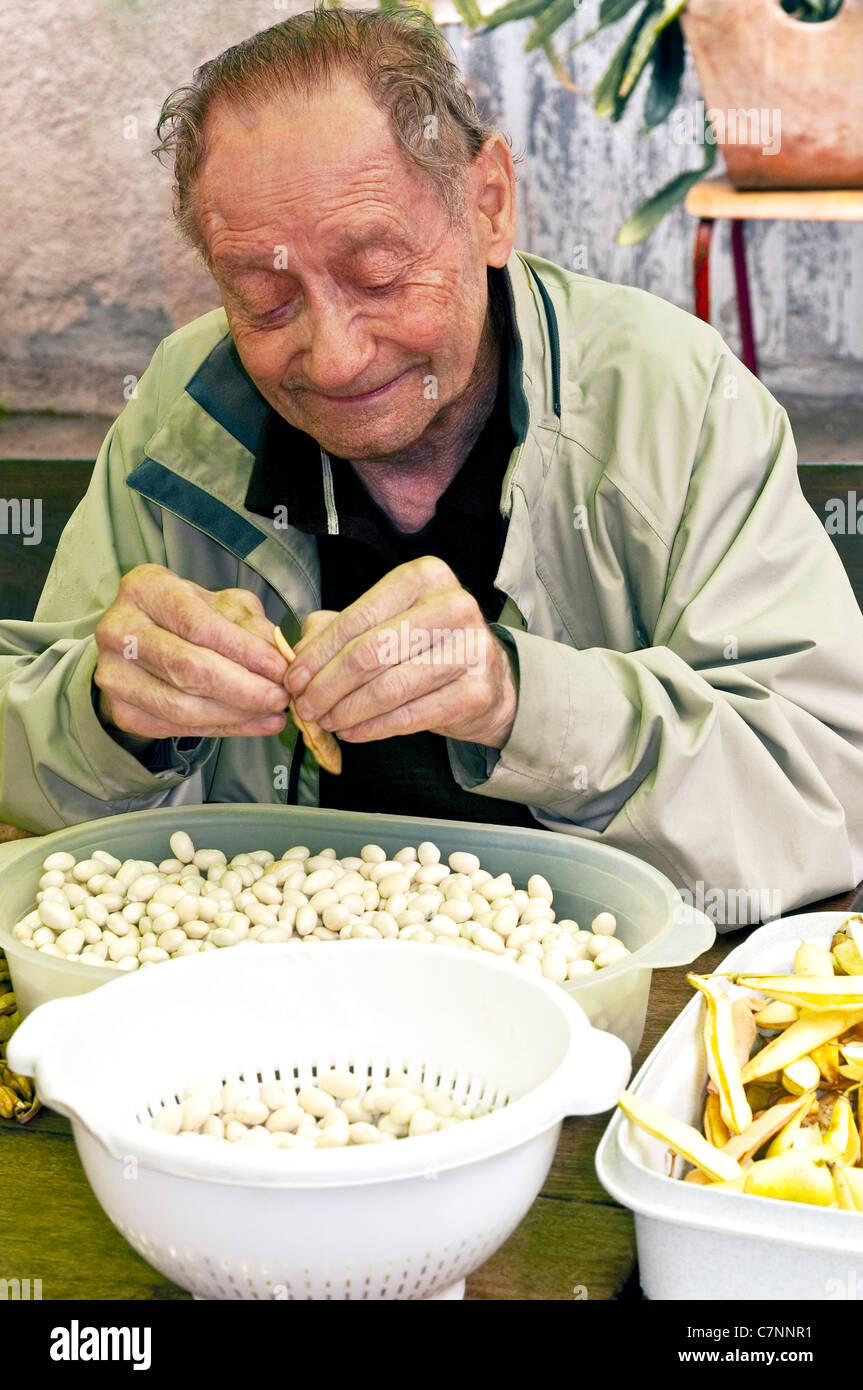 Old man shelling Navy haricot beans - France Stock Photo - Alamy