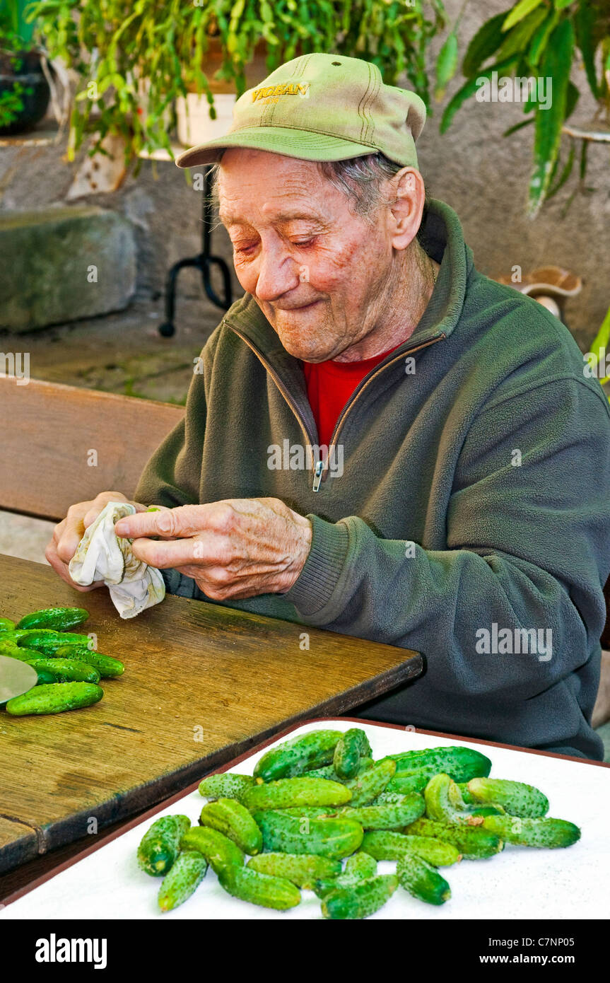 Old man cleaning gherkins - France Stock Photo - Alamy