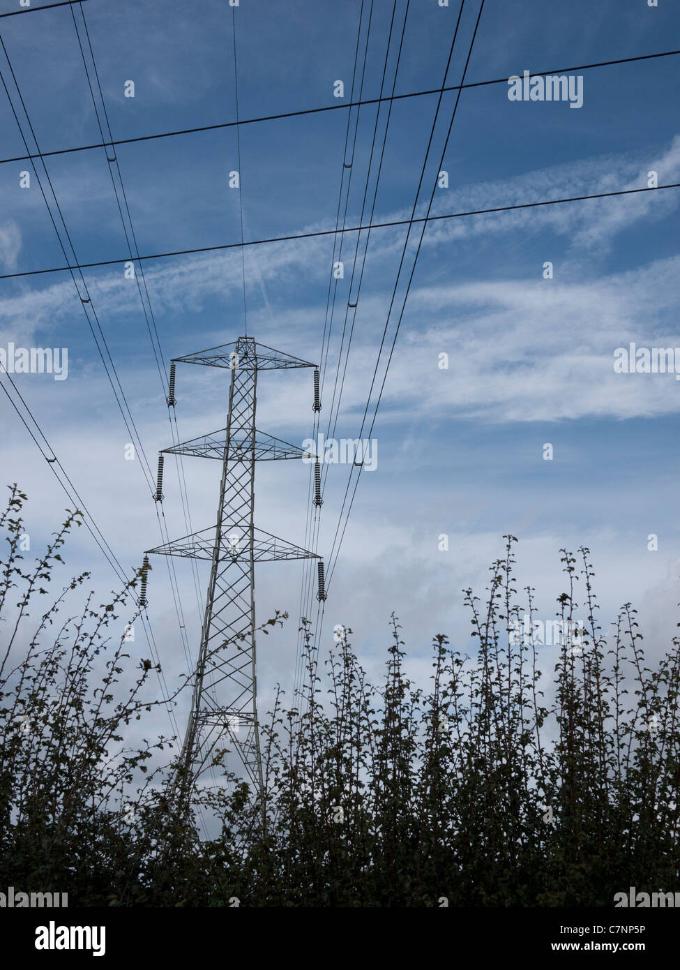 Pylon and electricity cables. England, UK Stock Photo - Alamy