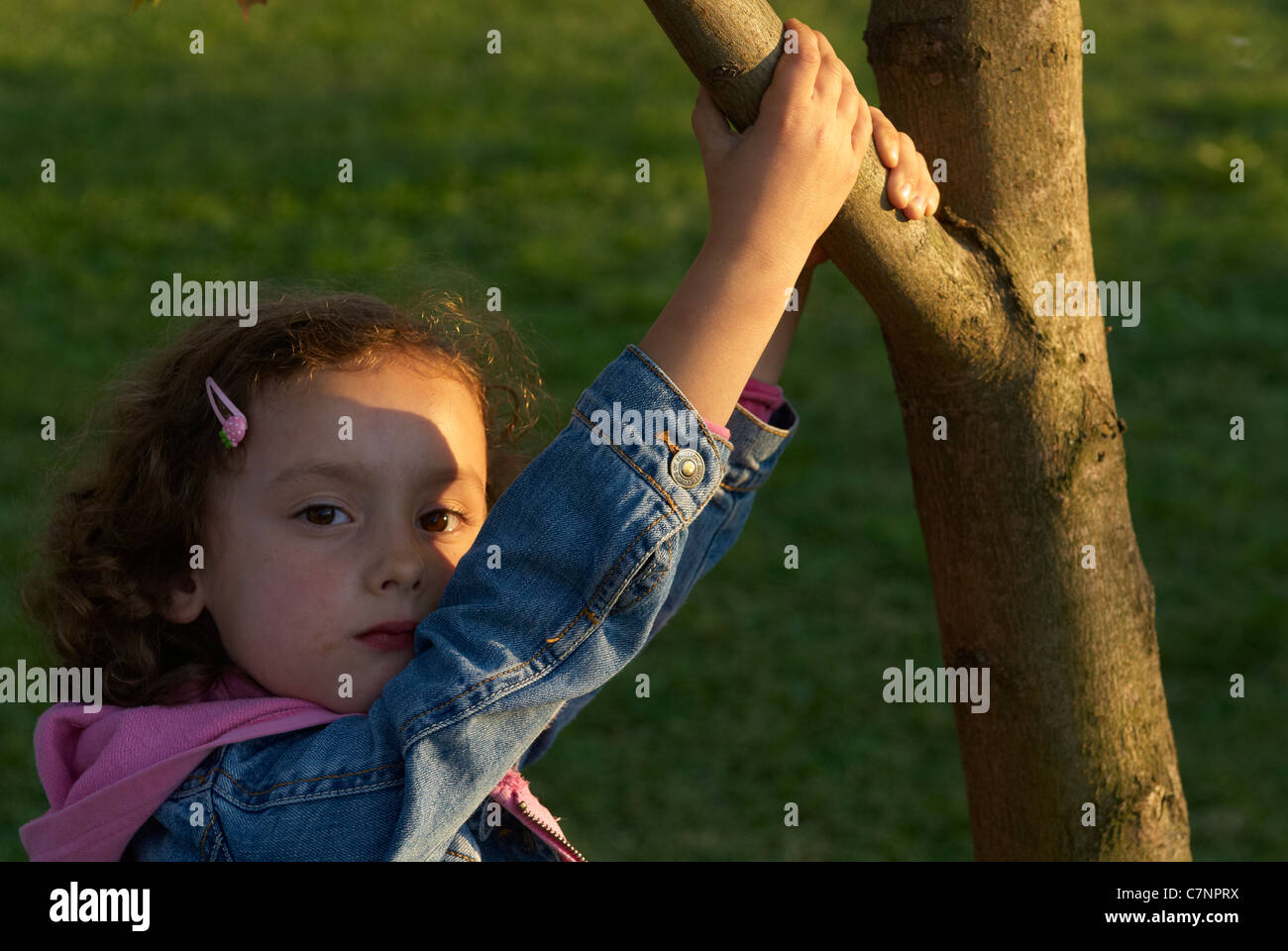 Girl (5-6) peeking out from behind tree, smiling, portrait Stock Photo ...