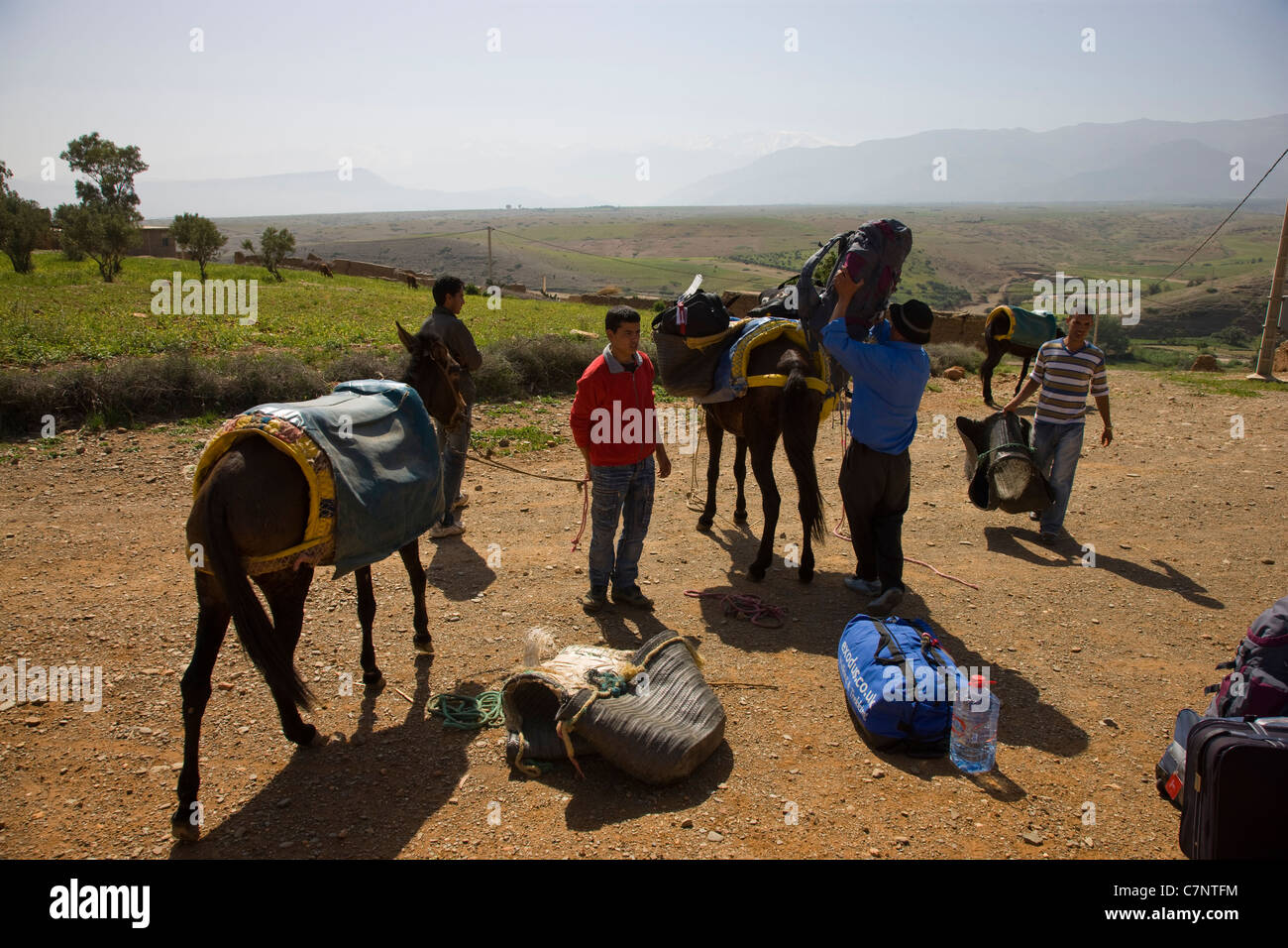 Loading up the mules and setting off on a walking holiday Stock Photo ...