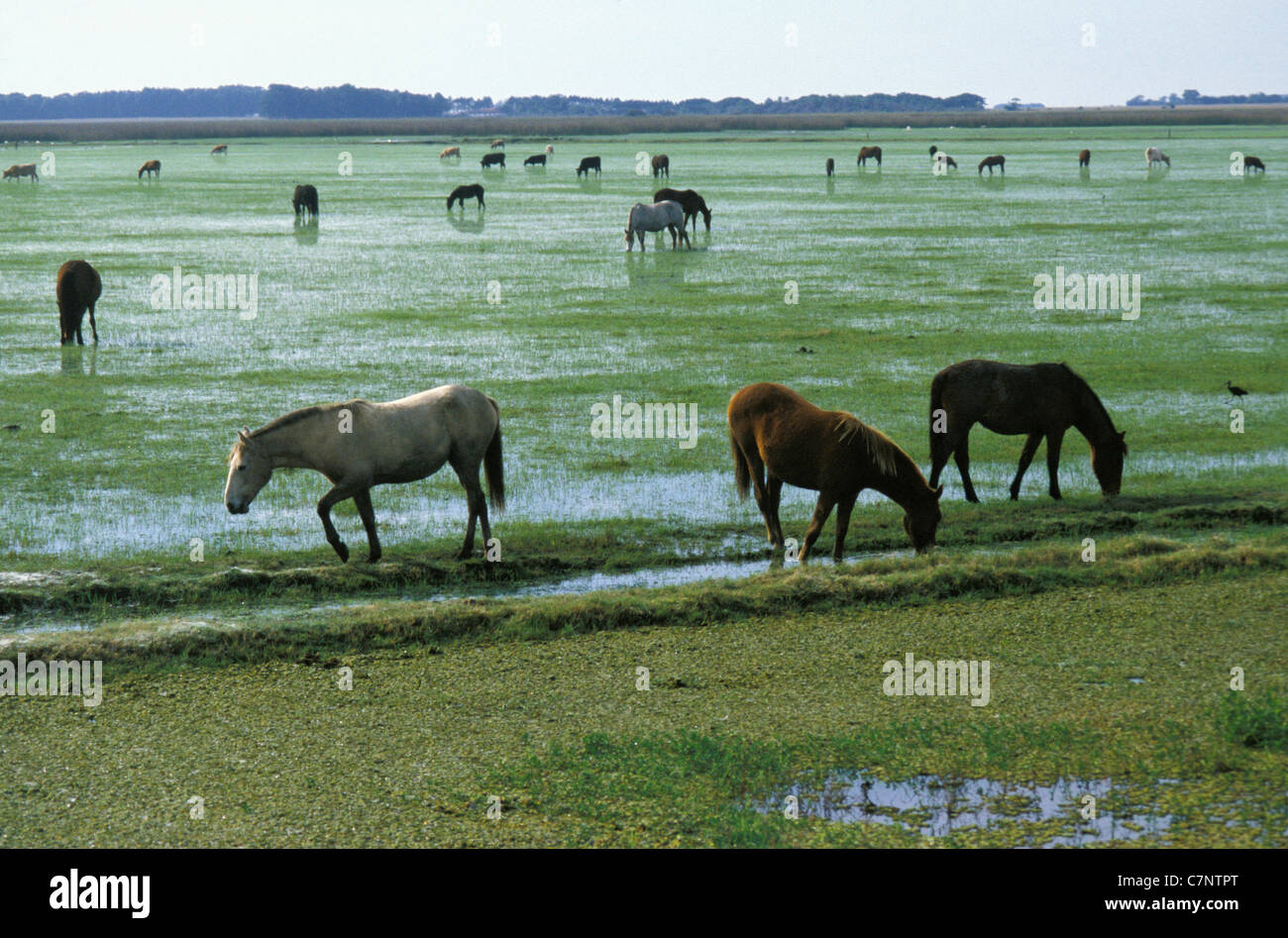 Alluvial plain hi-res stock photography and images - Alamy