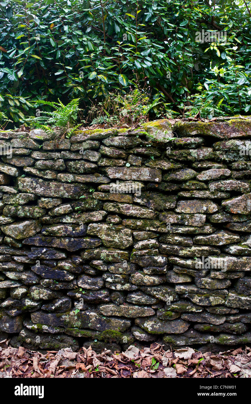 A traditional stone wall in Cornwall Stock Photo - Alamy