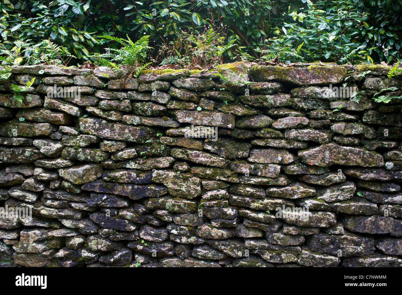 A traditional stone wall in Cornwall Stock Photo - Alamy