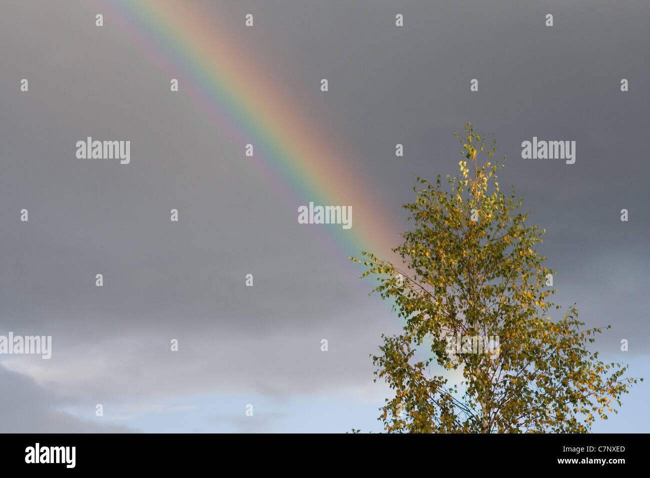 Rainbow over grey sky Stock Photo - Alamy