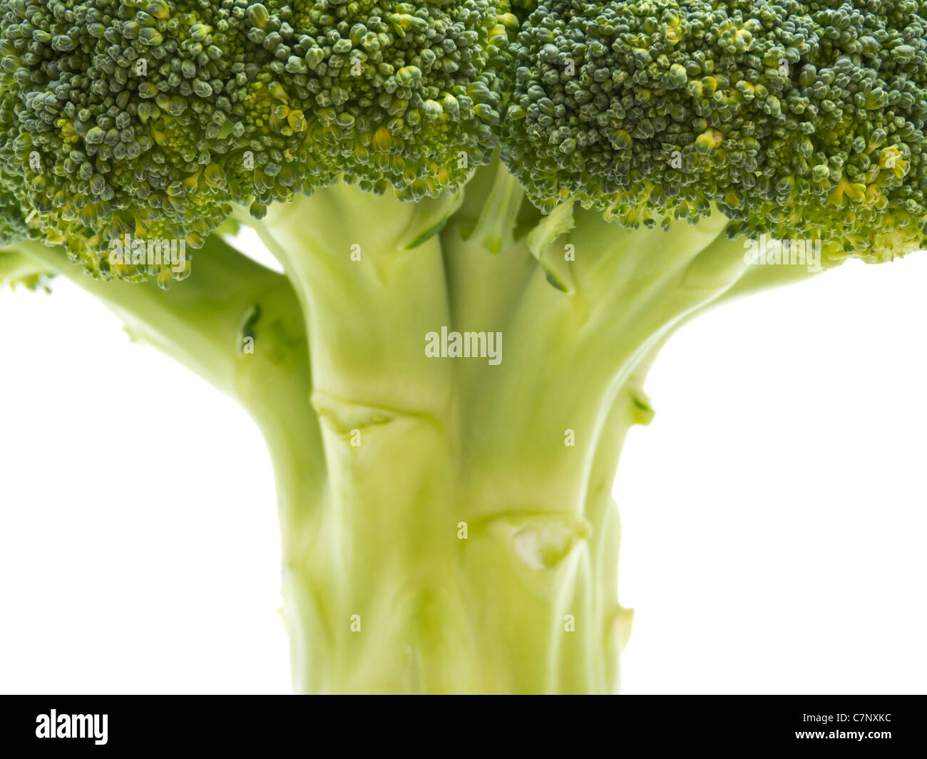 Broccoli on white background, closeup view Stock Photo - Alamy