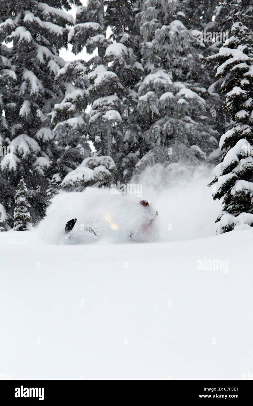 extreme snowmobile riding Stock Photo - Alamy