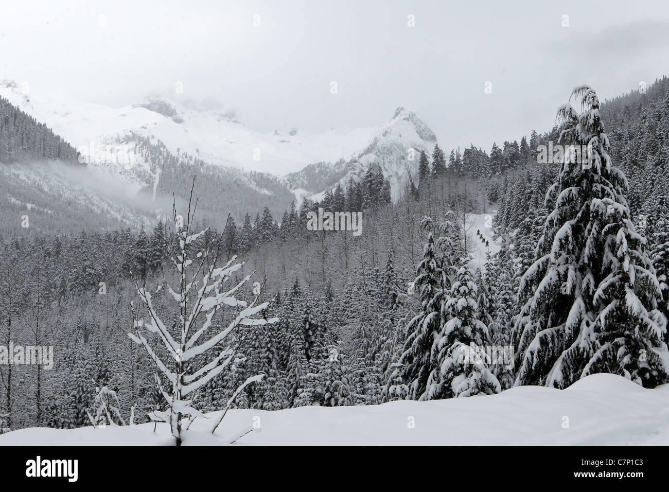 Mt fee hi-res stock photography and images - Alamy