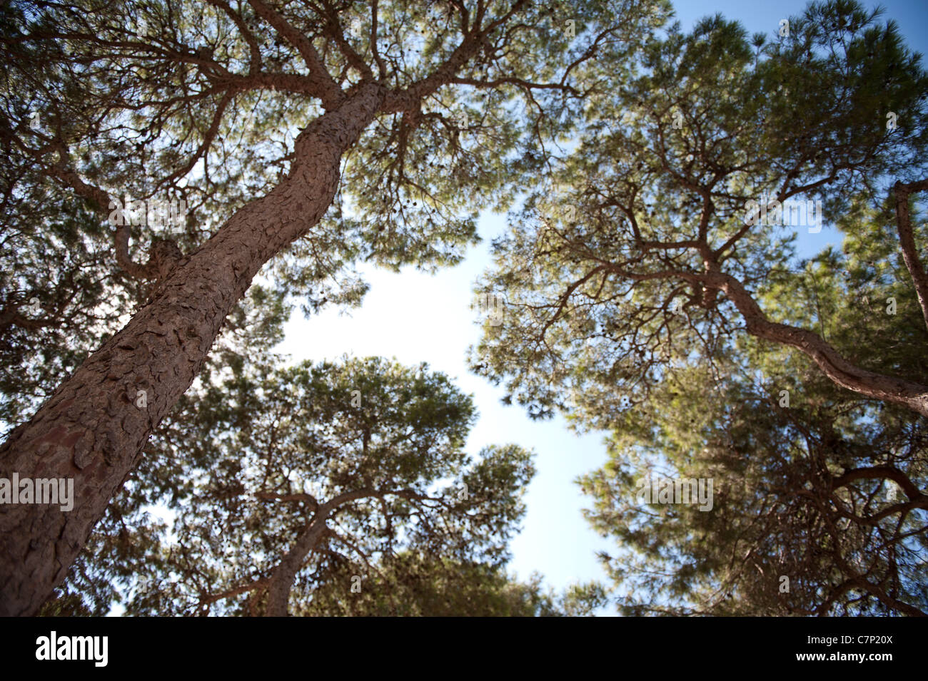 Depth of field image hi-res stock photography and images - Alamy