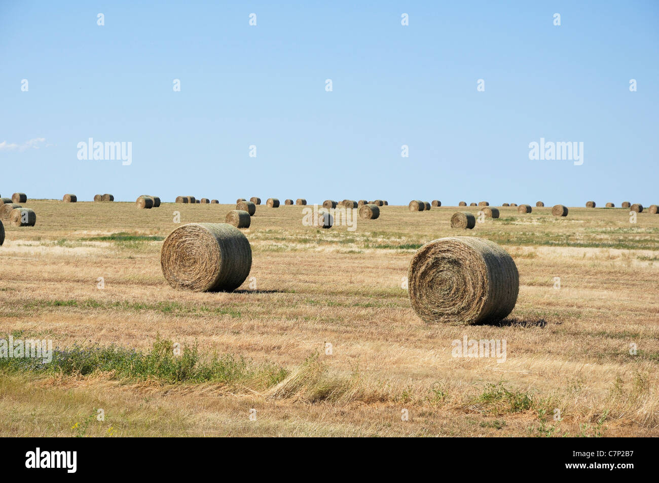 Round hay bails hi-res stock photography and images - Alamy