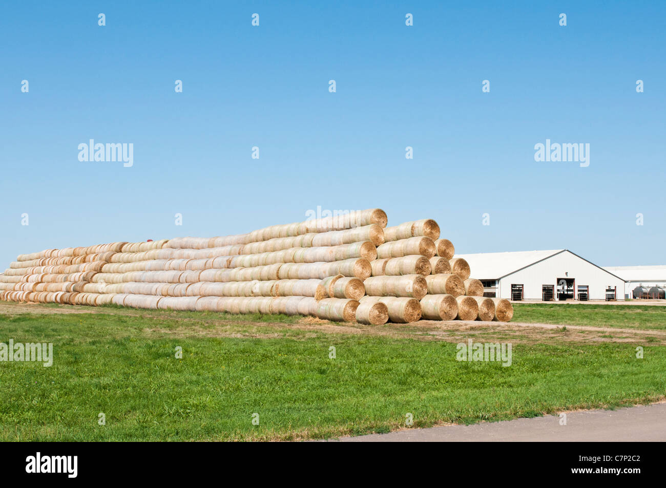 Alfalfa in round bales are stacked for storage at the edge of a ...