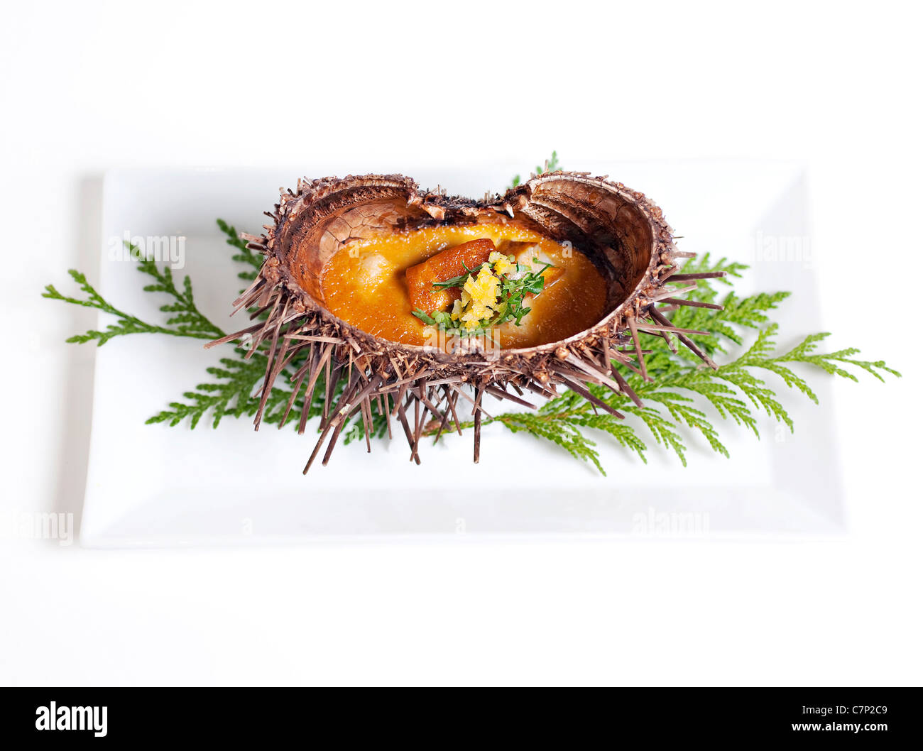 Baked Sea Urchin Shell Stock Photo - Alamy