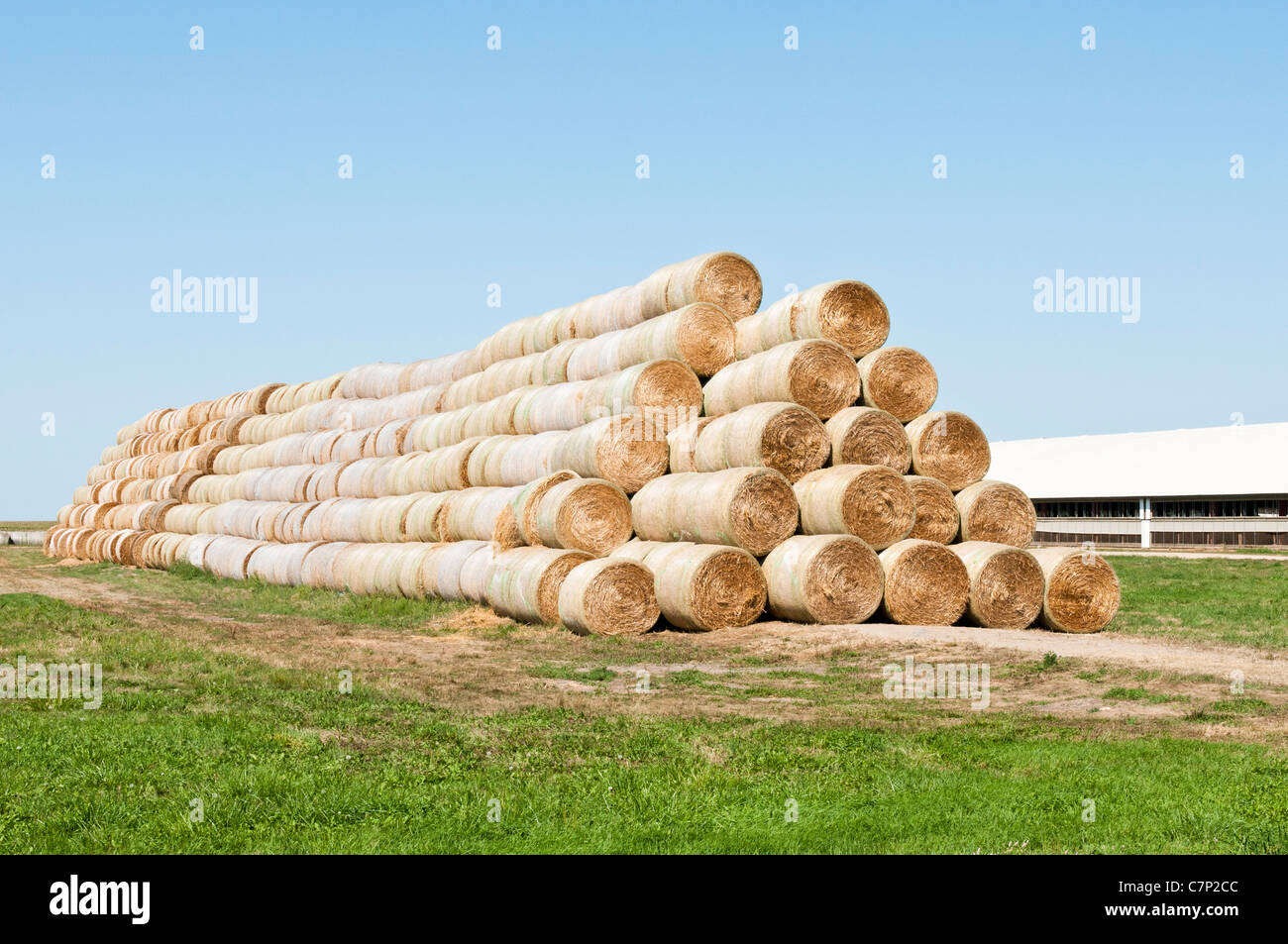 Alfalfa in round bales are stacked for storage at the edge of a ...