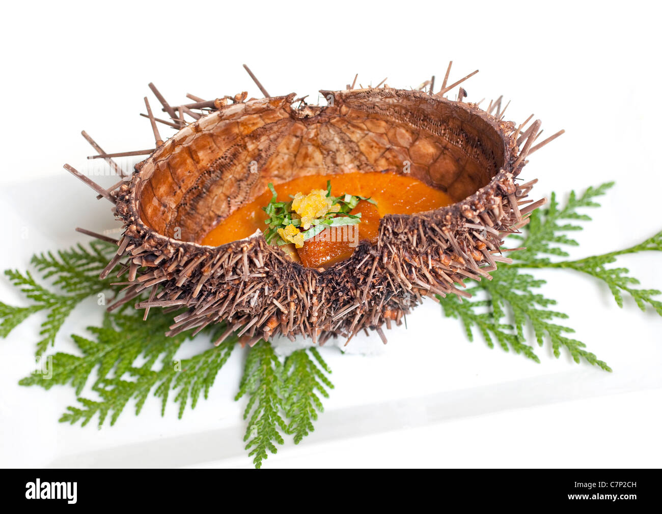 baked sea urchin shell Stock Photo - Alamy