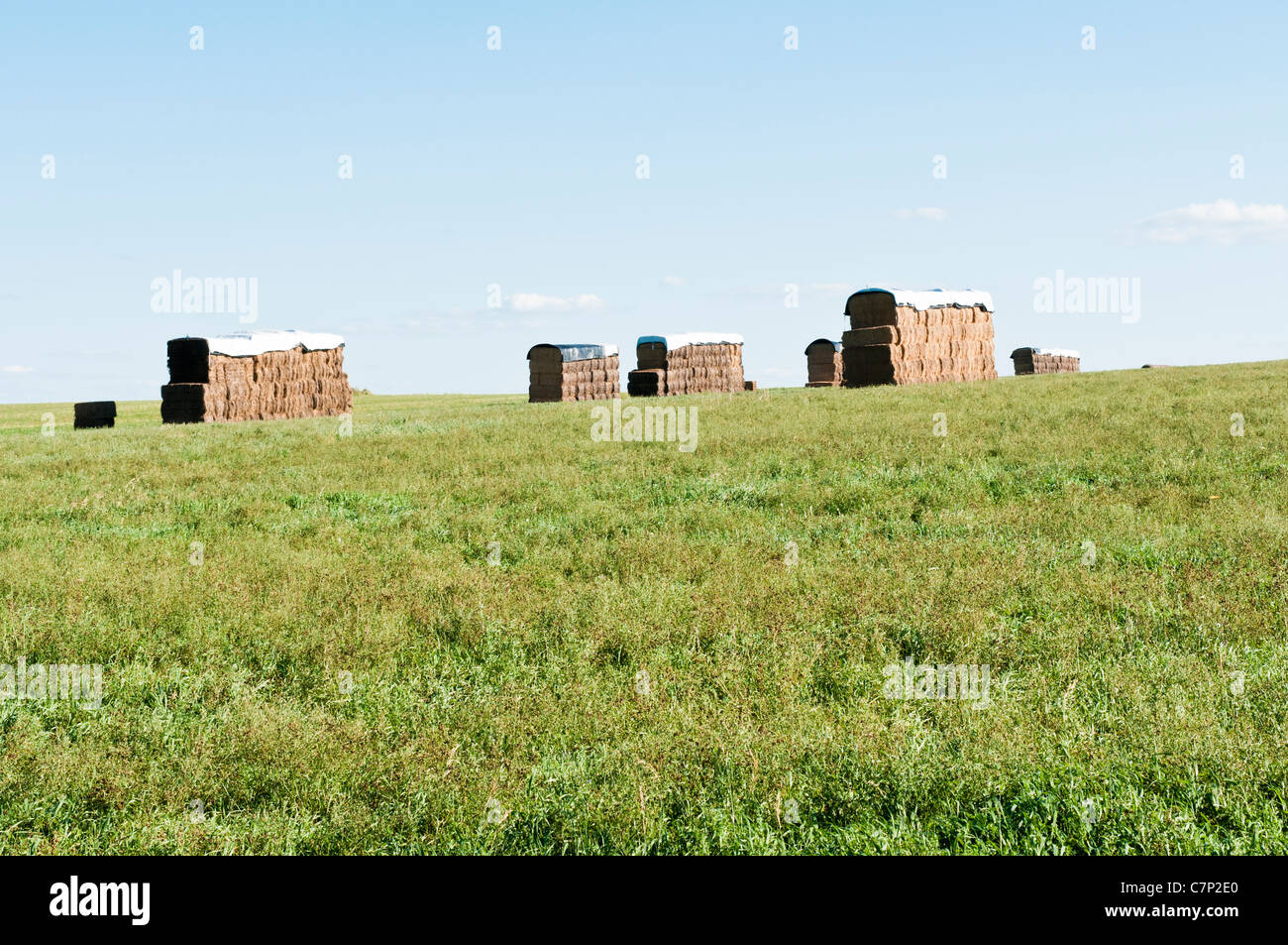 Round square field farming hi-res stock photography and images - Alamy