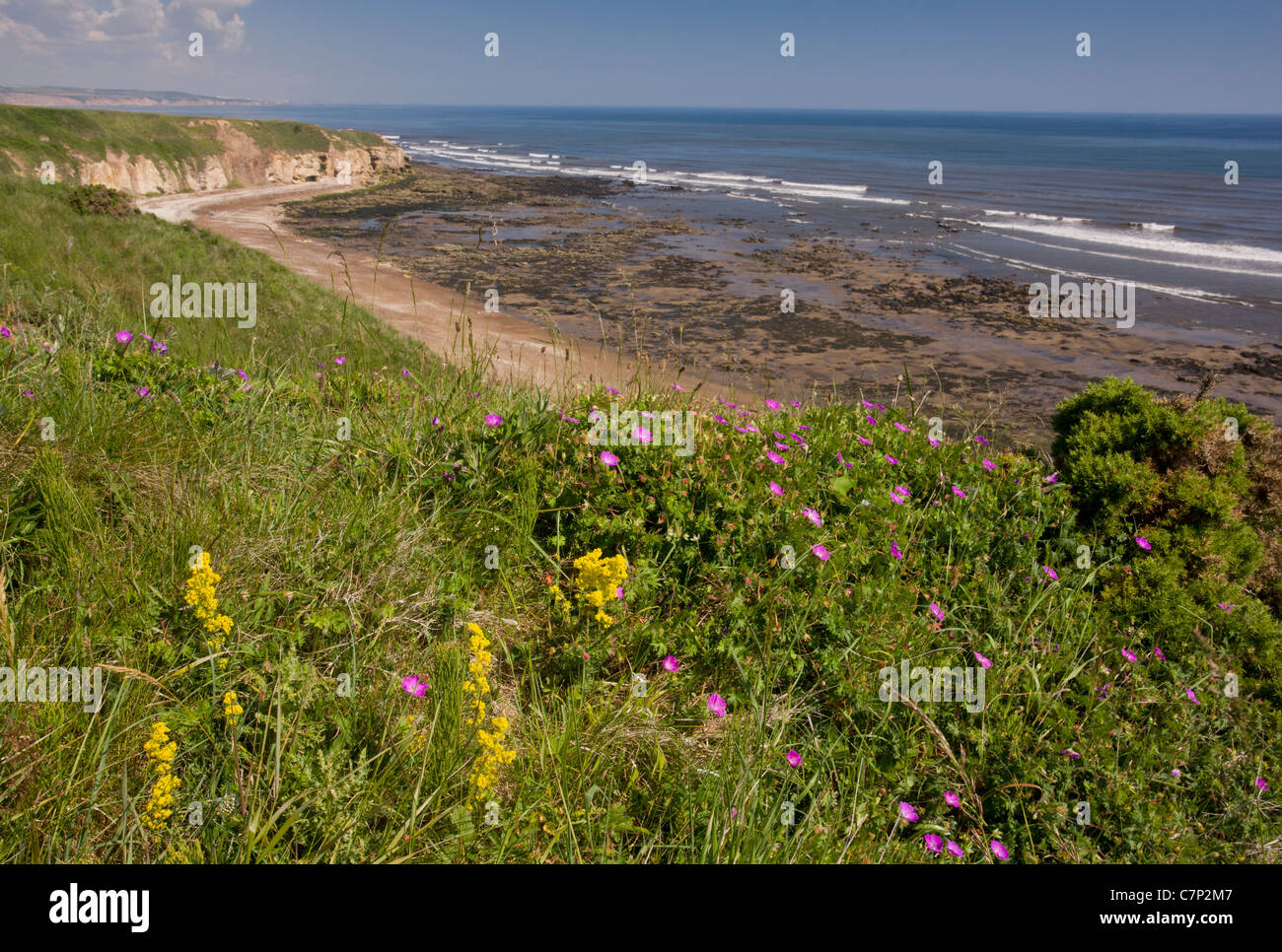 Blackhall rocks hi-res stock photography and images - Alamy