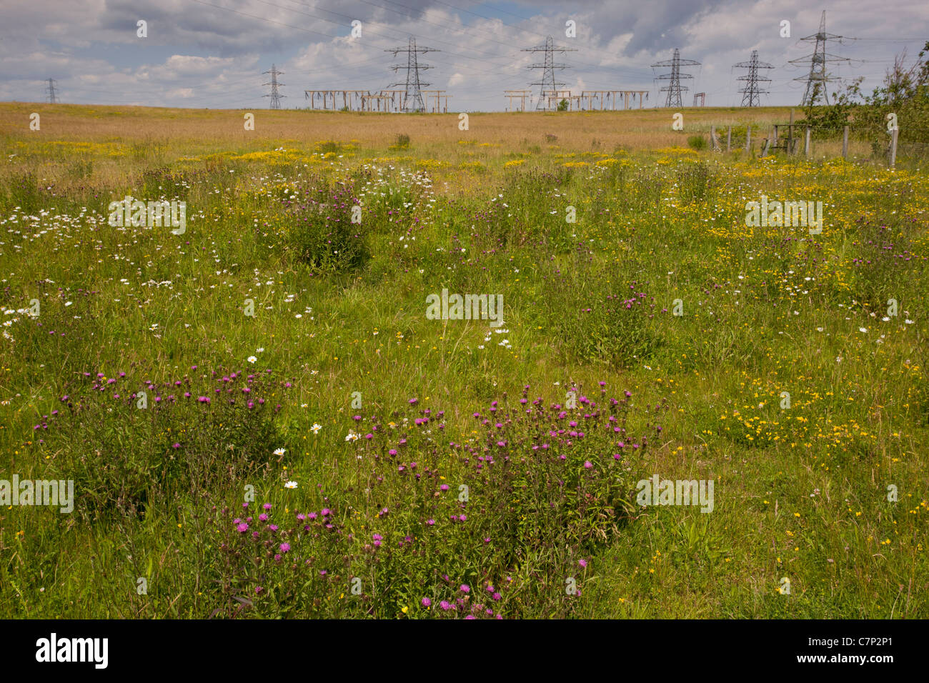 South hetton hi-res stock photography and images - Alamy