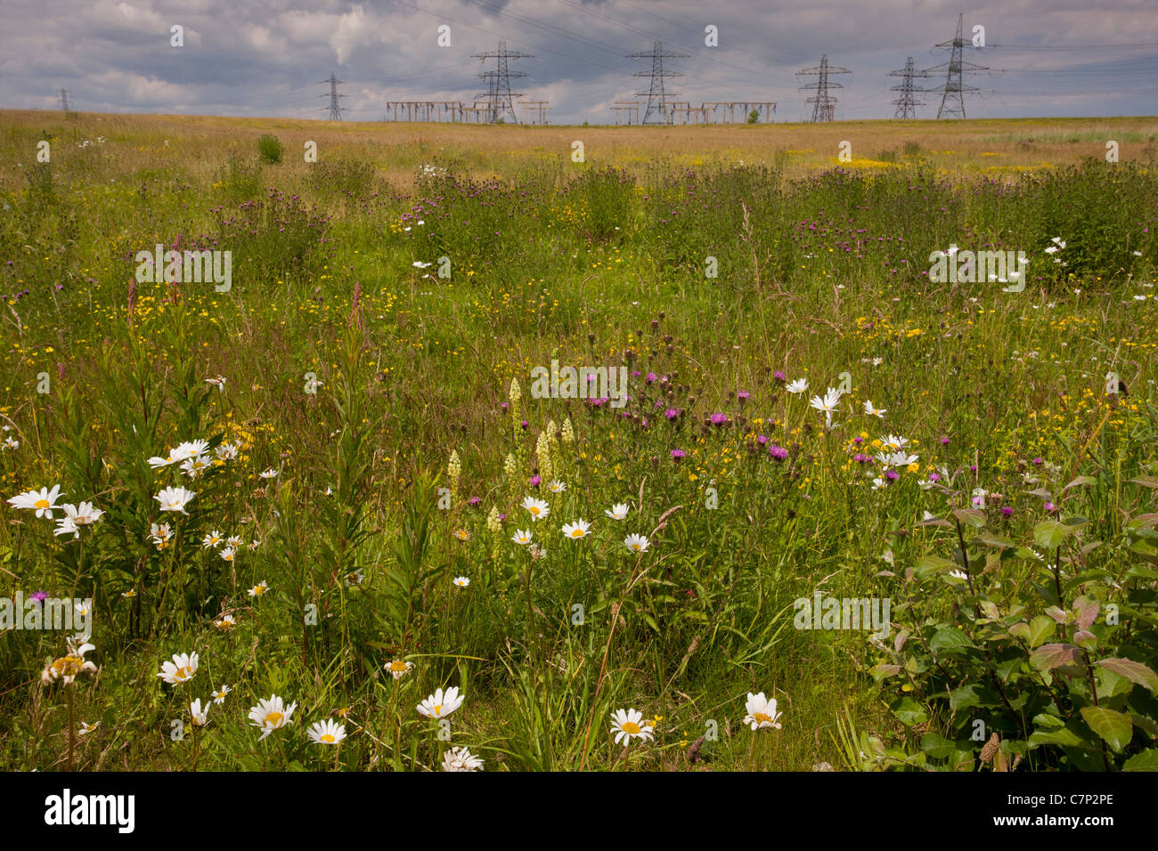 South hetton hi-res stock photography and images - Alamy