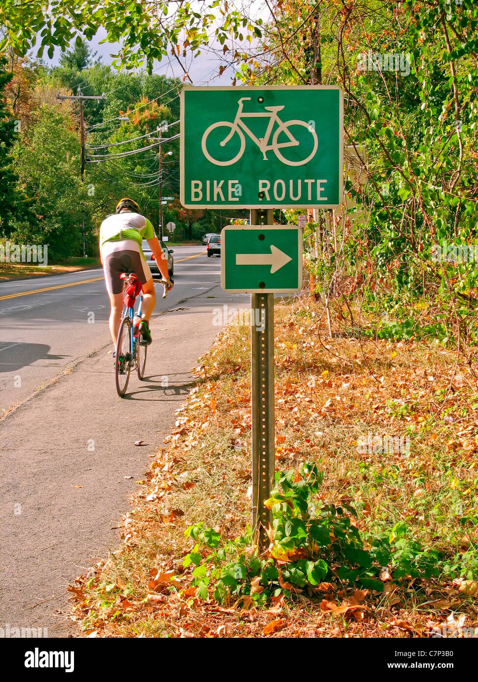 A green bike route sign on the side of the road Stock Photo - Alamy