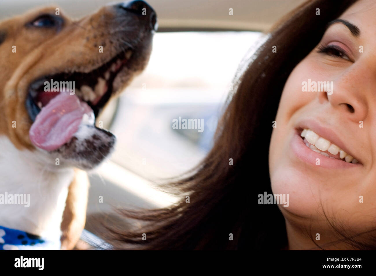 A portrait of a happy girl and her dog Stock Photo - Alamy