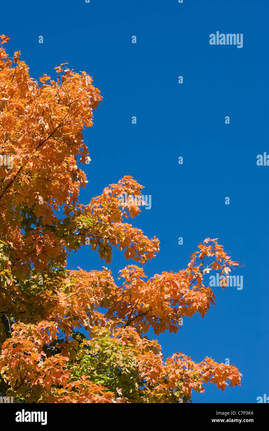 New englan hi-res stock photography and images - Alamy