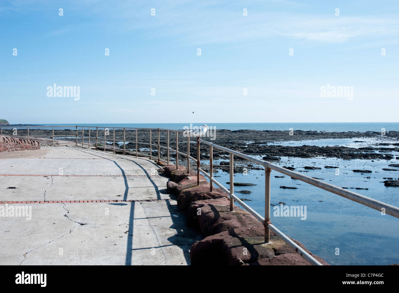 A view from Arbroath Abbey, Scotland Stock Photo - Alamy