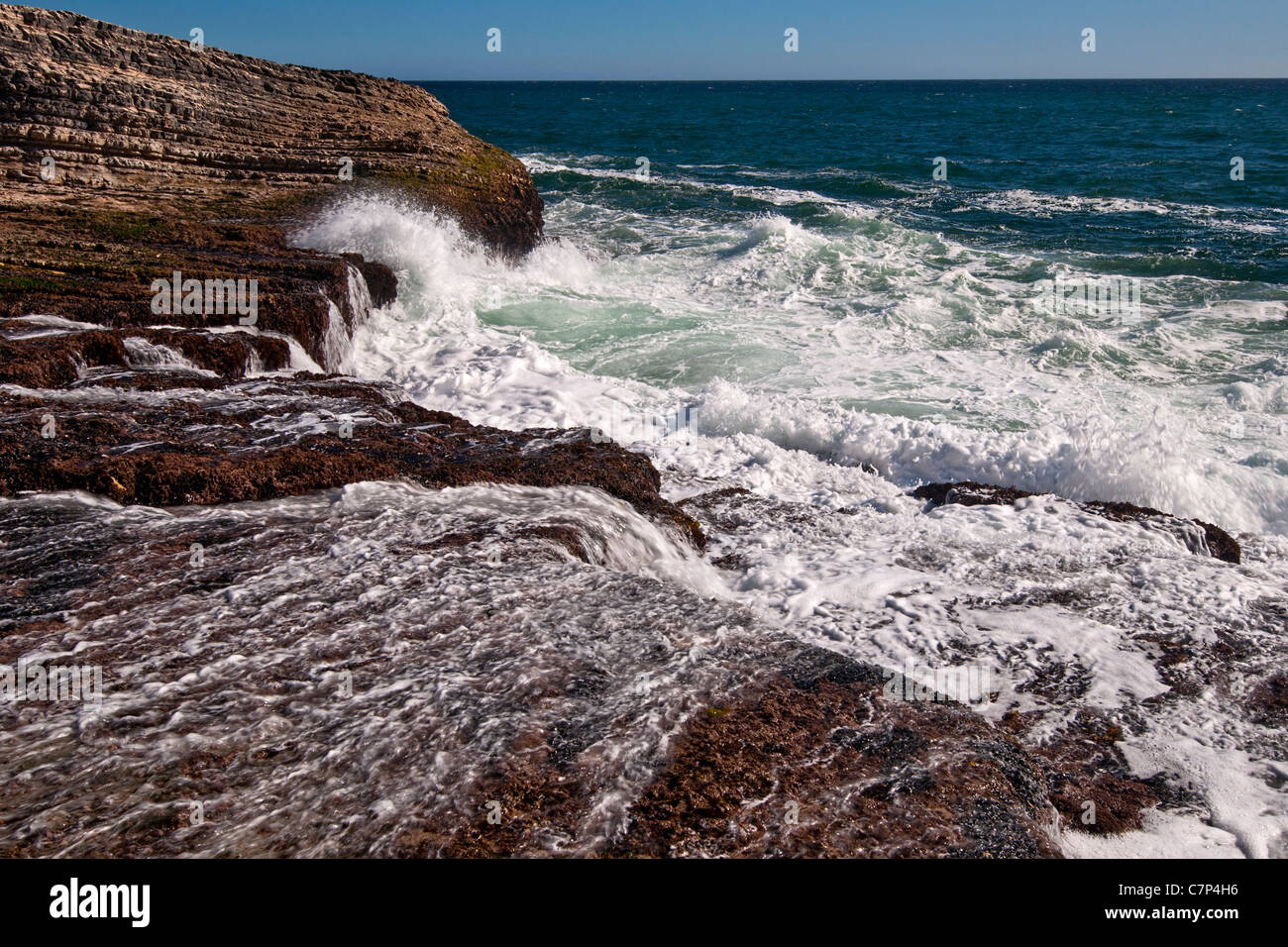 Panther beach hi-res stock photography and images - Alamy