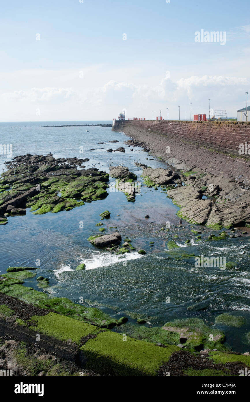 Arbroath abbey scotland hi-res stock photography and images - Alamy
