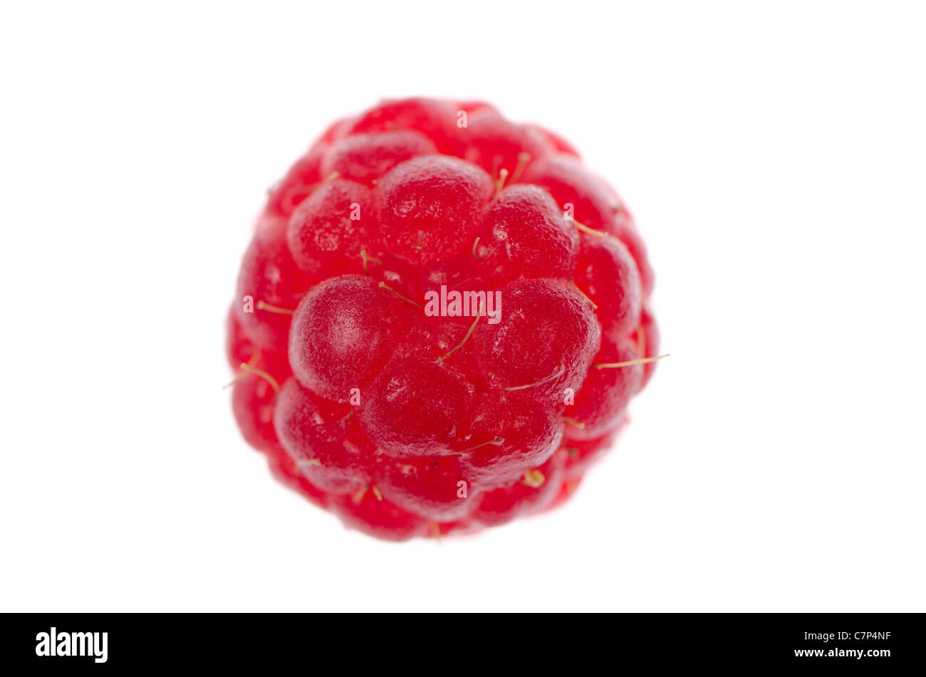 Extreme macro of red raspberry on white background Stock Photo - Alamy