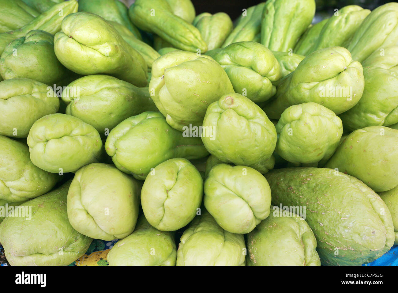 Vegetable choko healthy hi-res stock photography and images - Alamy