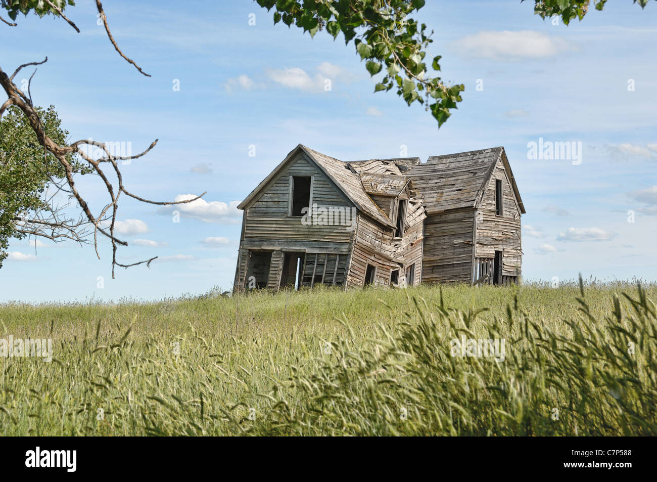 An old abandoned farmhouse in a field Stock Photo - Alamy