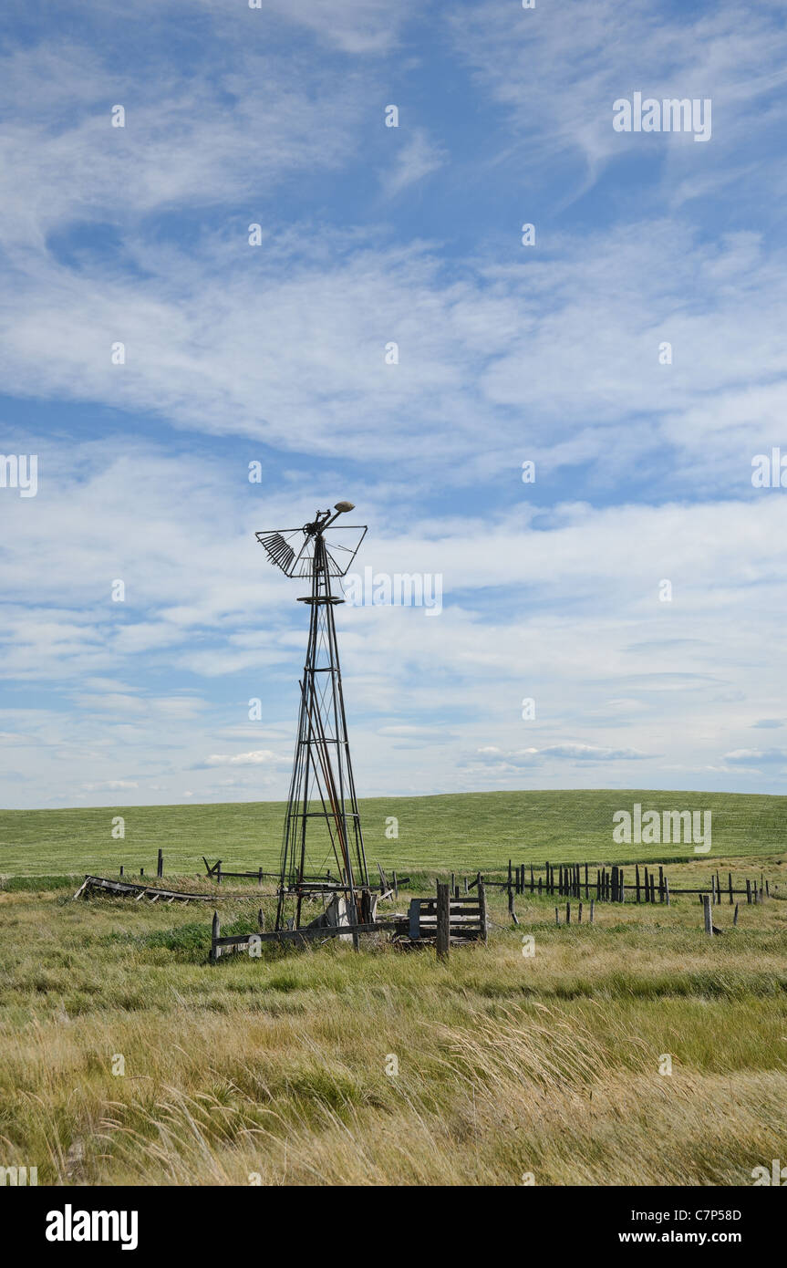 An old antique windmill in a field during summer Stock Photo - Alamy