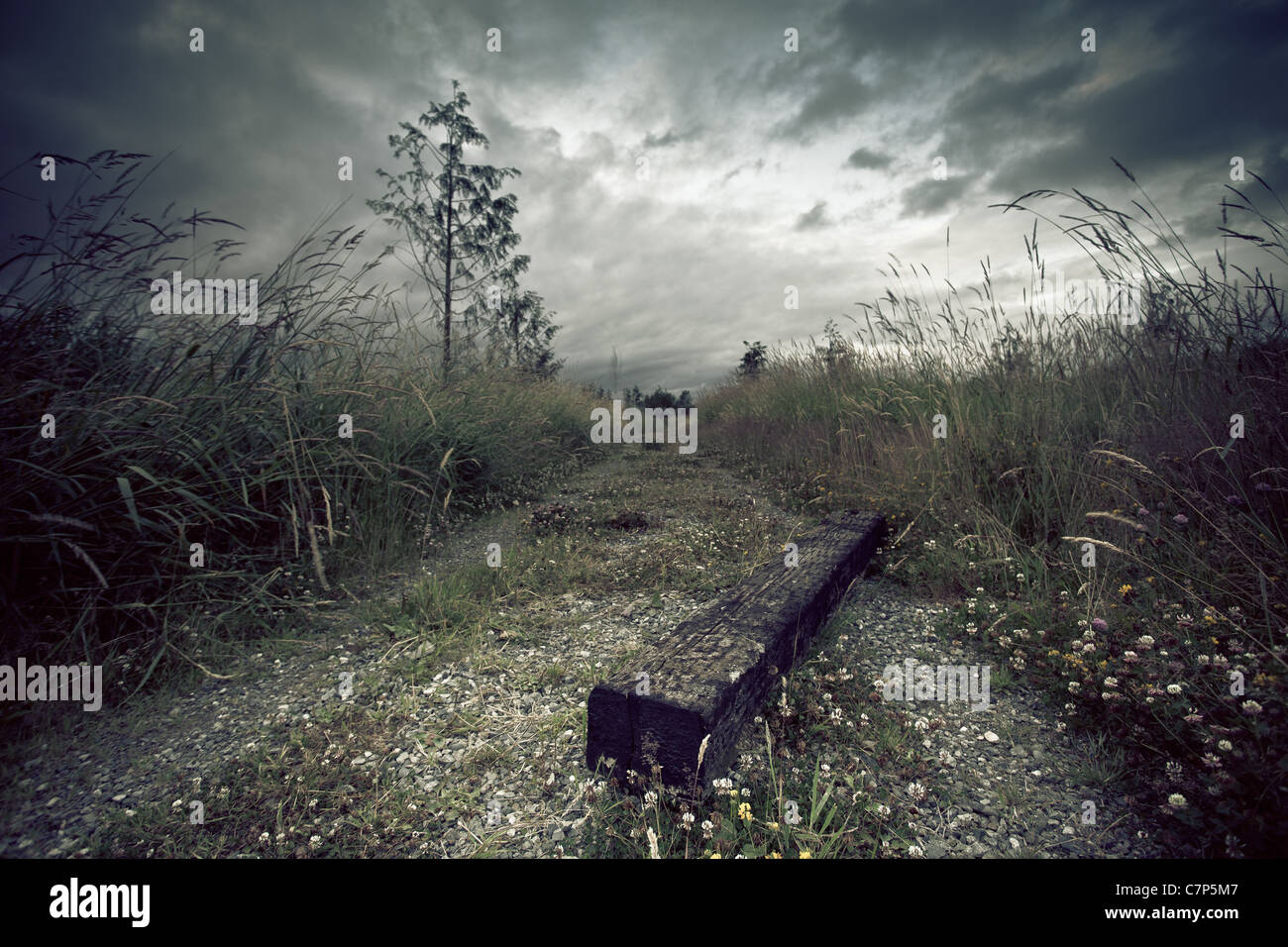 Dark uncertain path Stock Photo - Alamy