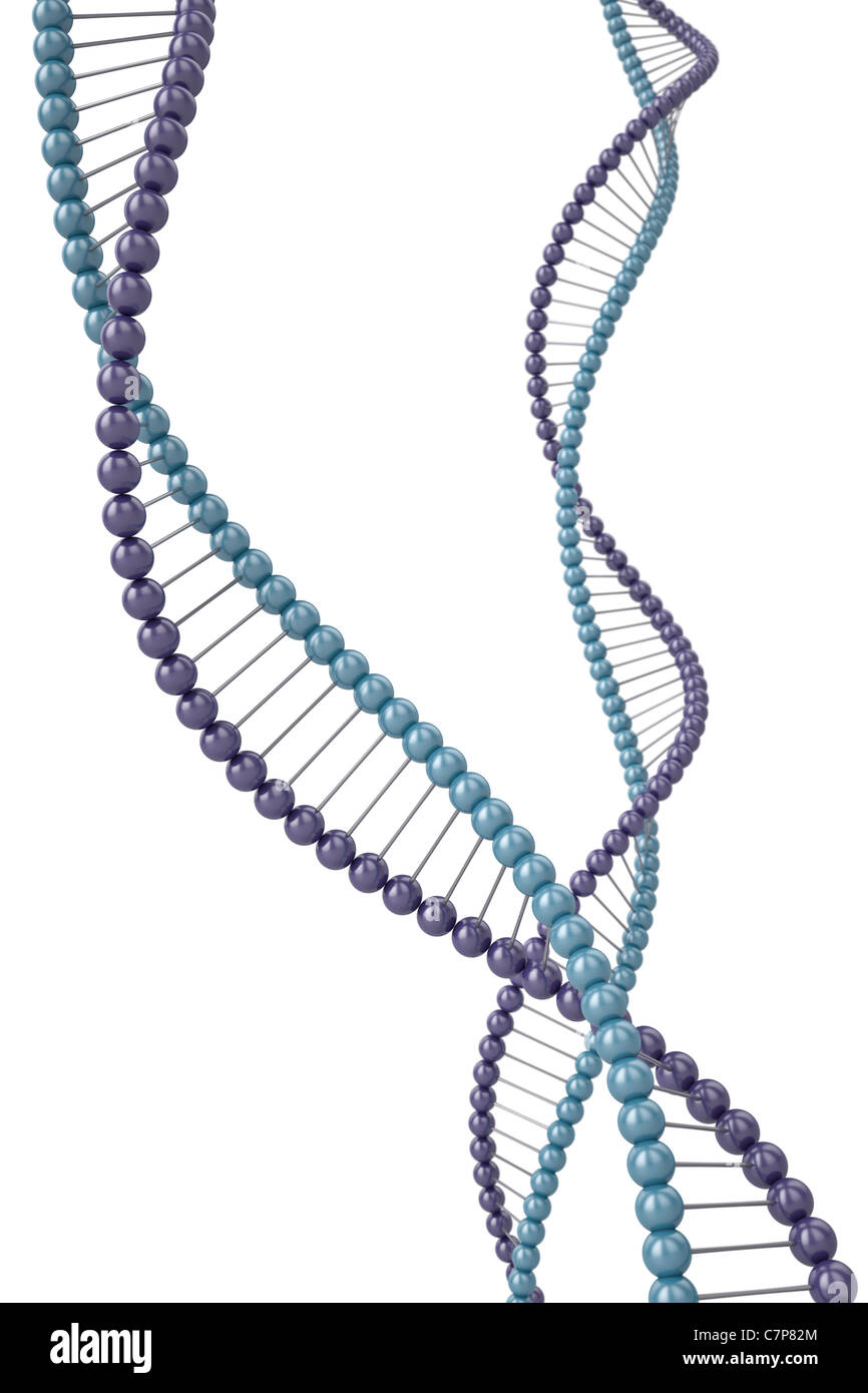 Double stranded dna hi-res stock photography and images - Alamy