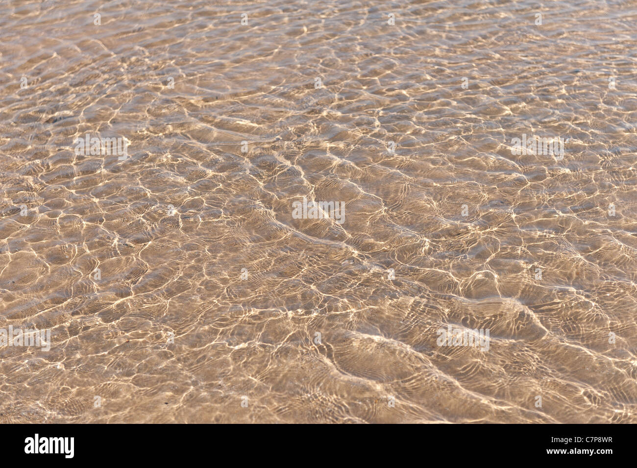 ripples reflections refraction wave patterns in shallow sea water on a ...