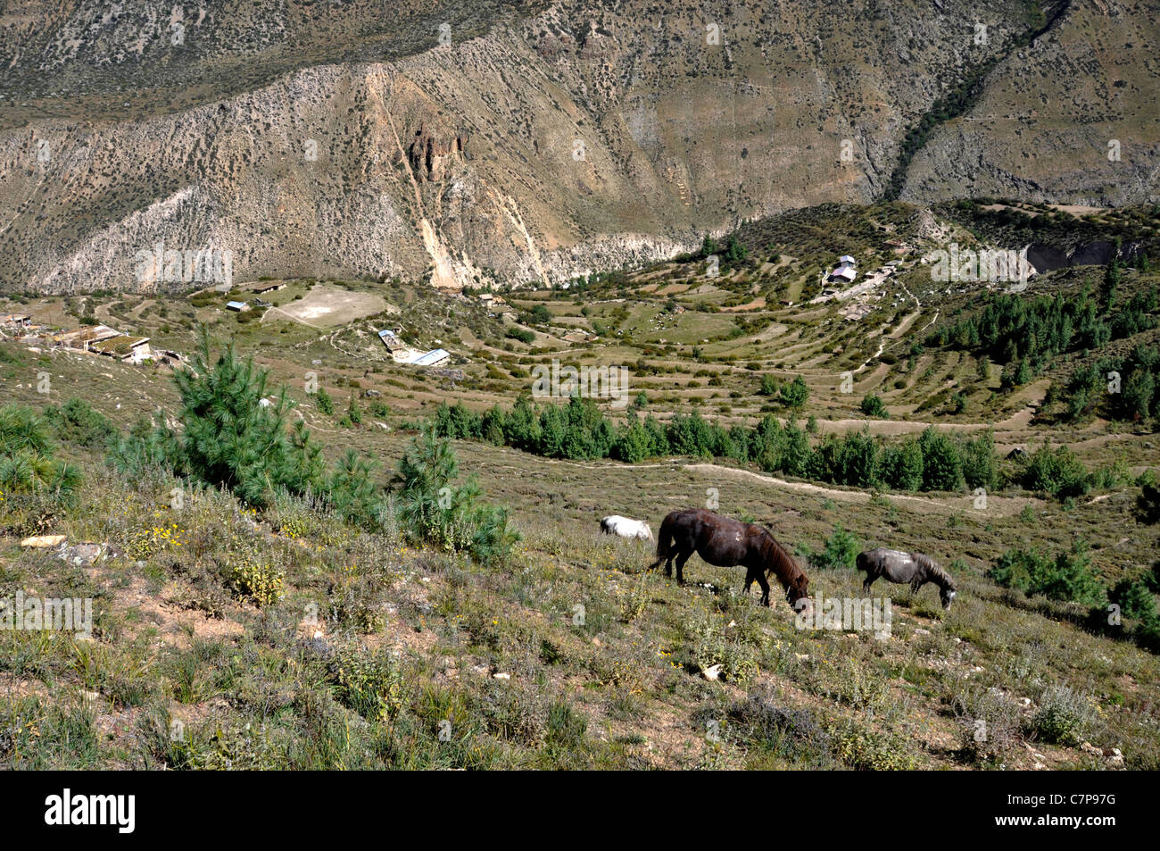 Humla, nepal hi-res stock photography and images - Alamy