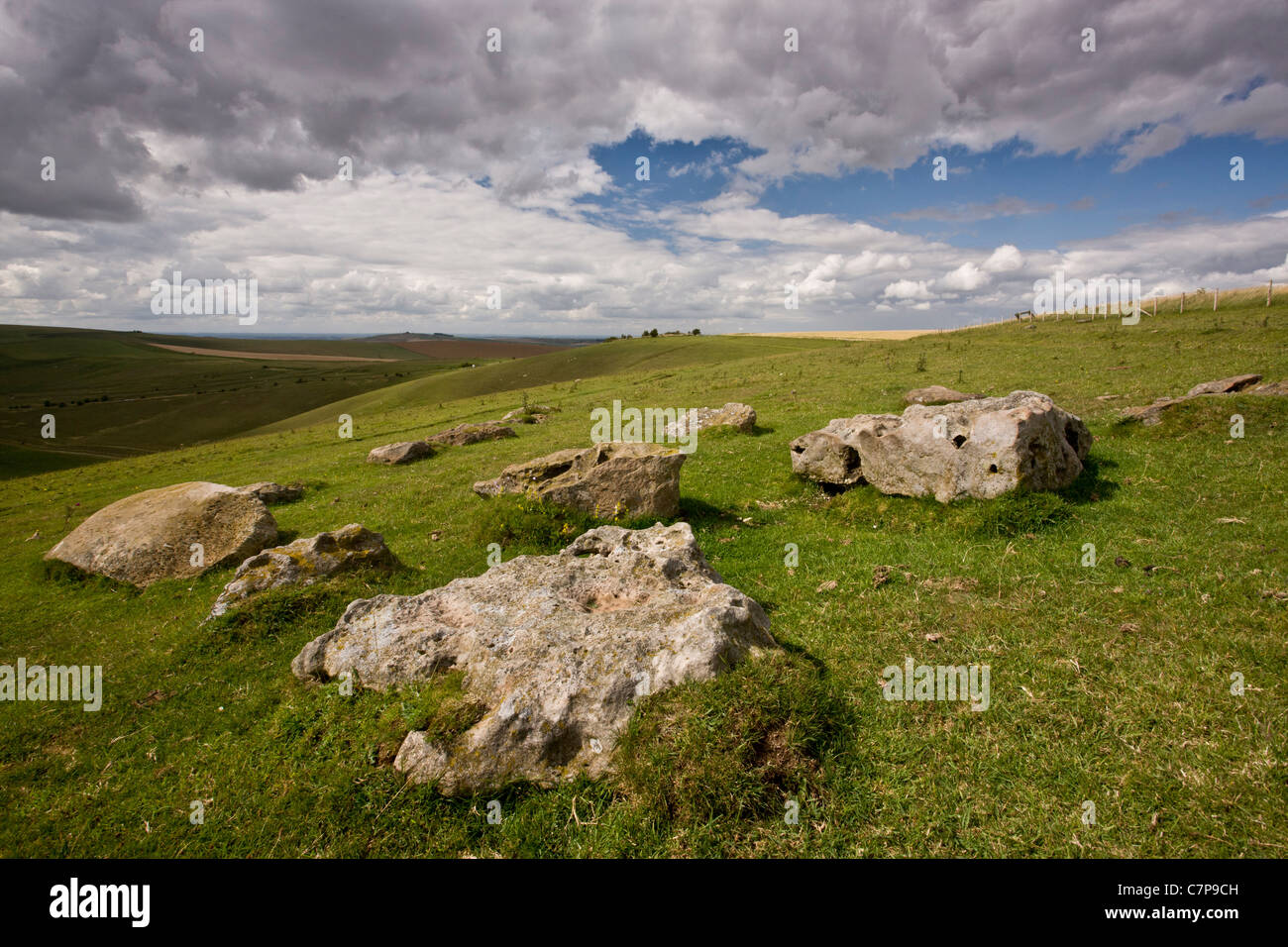 Sarsen Stones on the steep south-facing chalk downs at Pewsey Downs ...