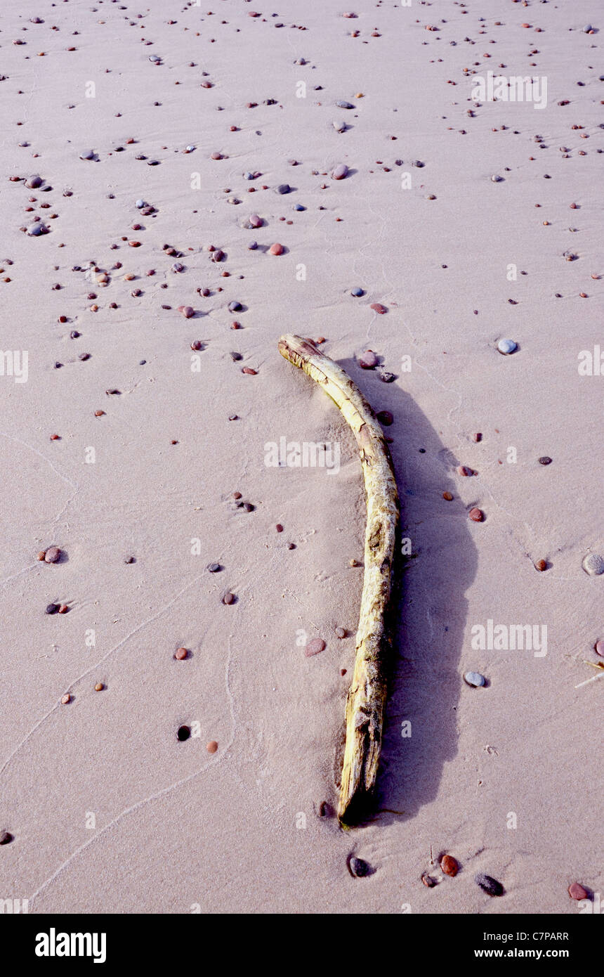 stones and wooden object on beach sand Stock Photo - Alamy