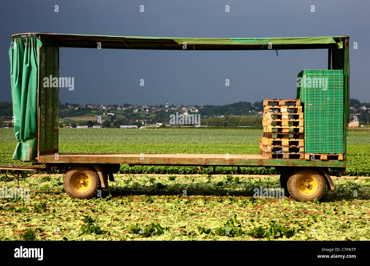 Open field farming hi-res stock photography and images - Alamy