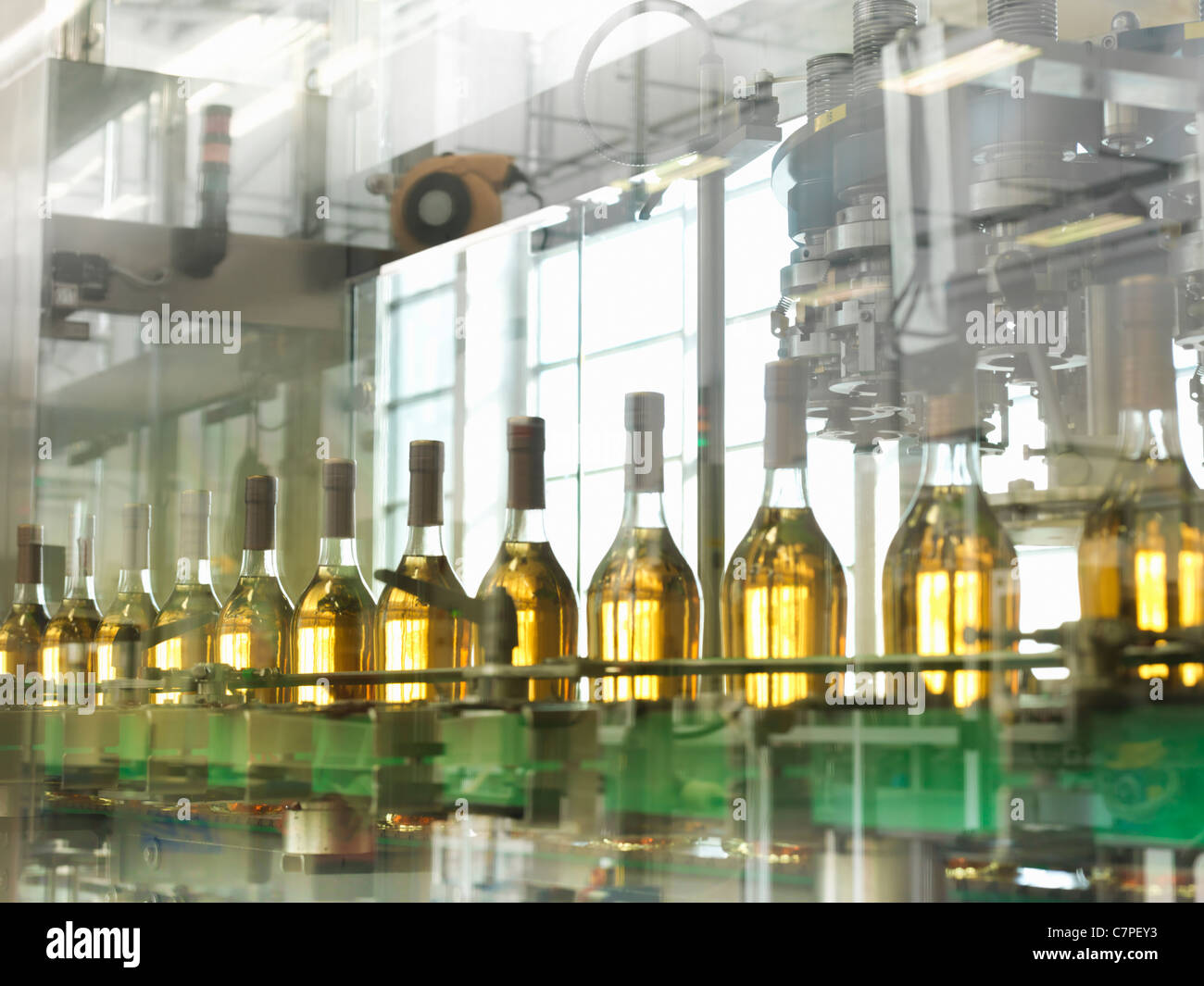 Bottle plant hi-res stock photography and images - Alamy