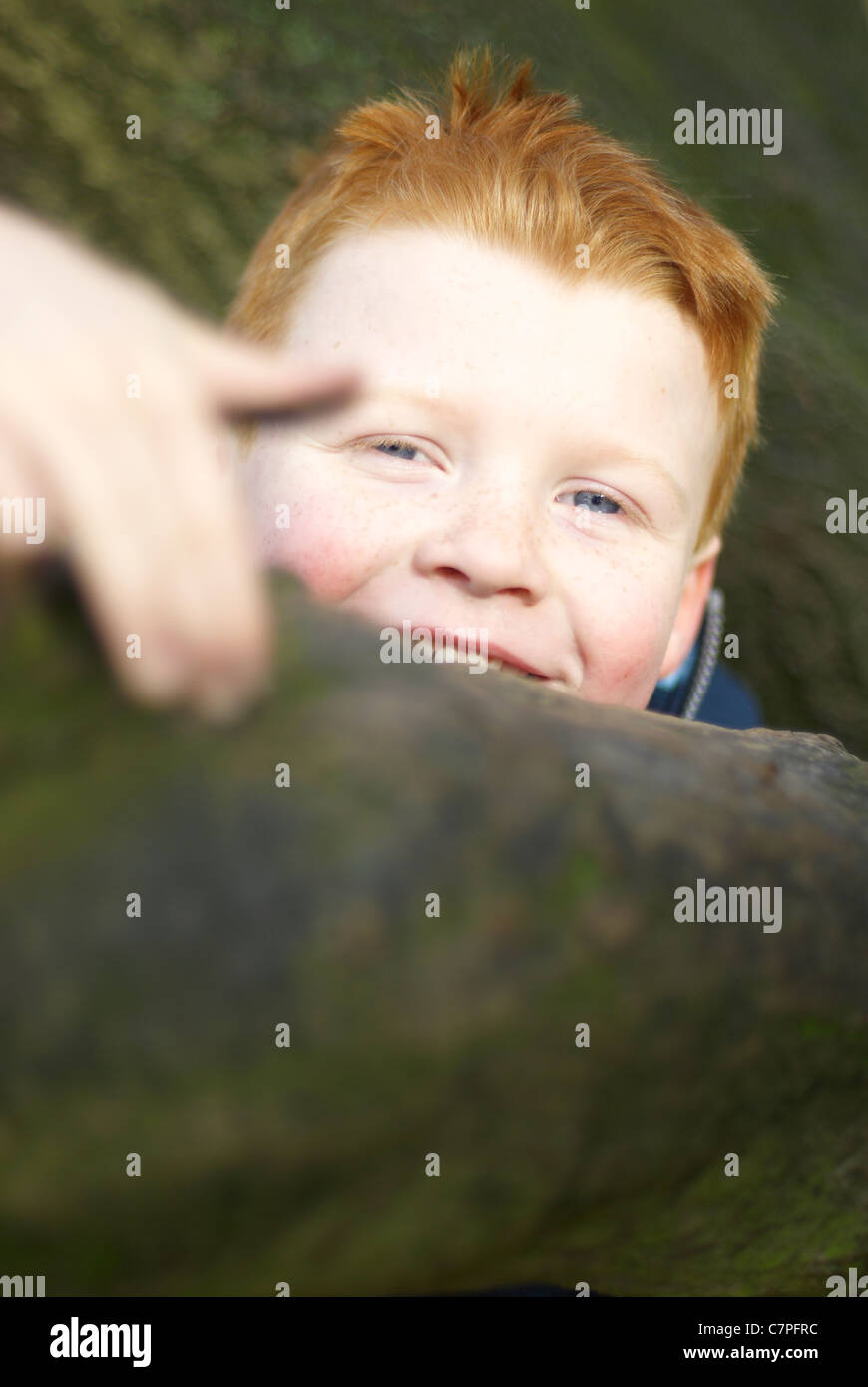 Smiling boy climbing tree Stock Photo - Alamy