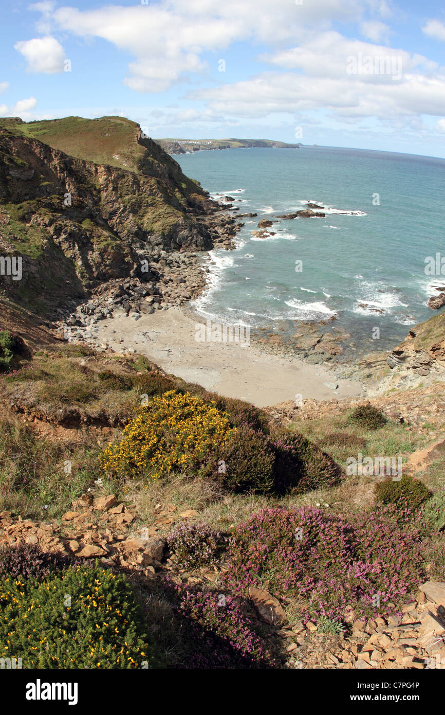 Cornwall Delabole High Resolution Stock Photography and Images - Alamy