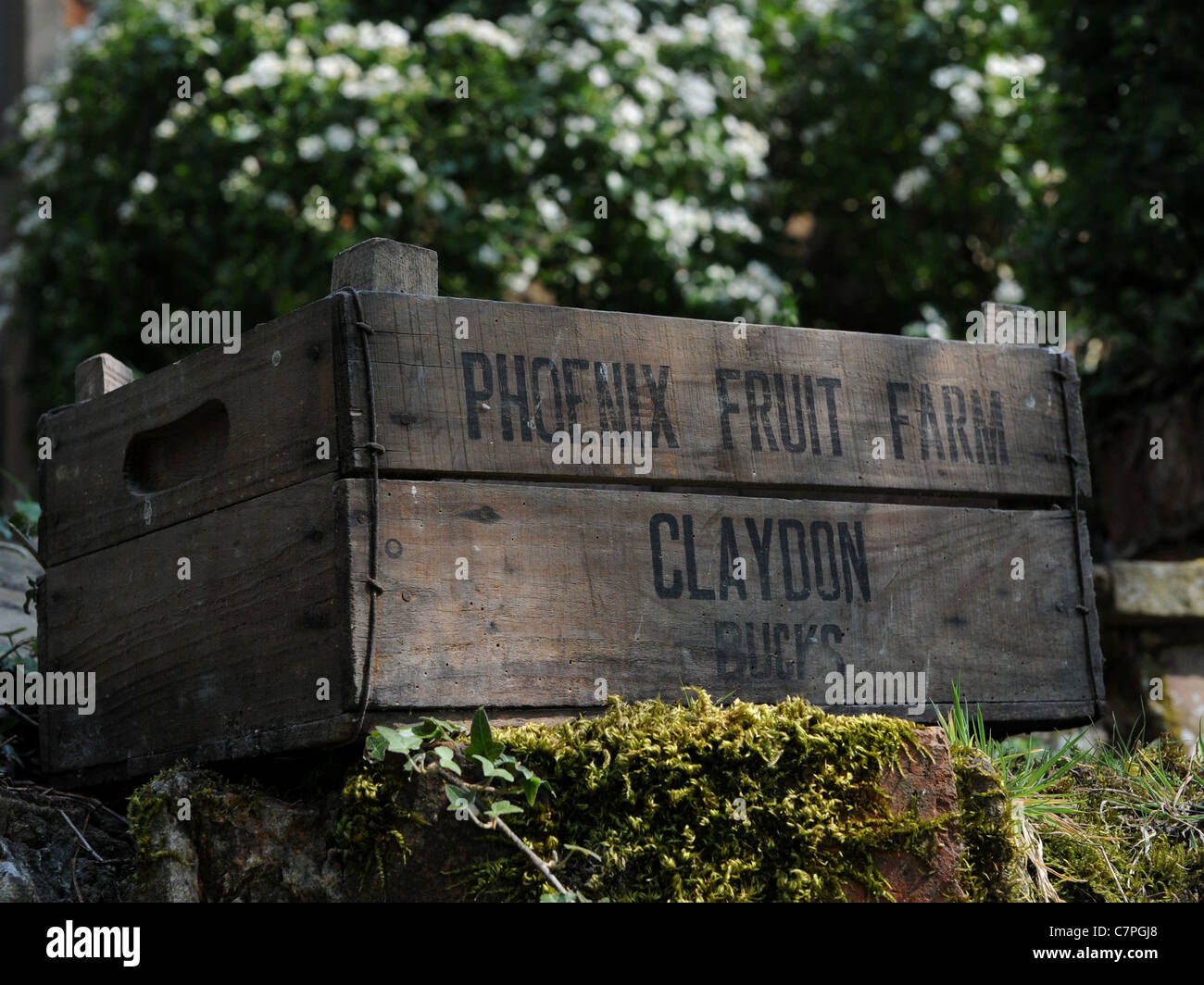 Old apple crate hi-res stock photography and images - Alamy