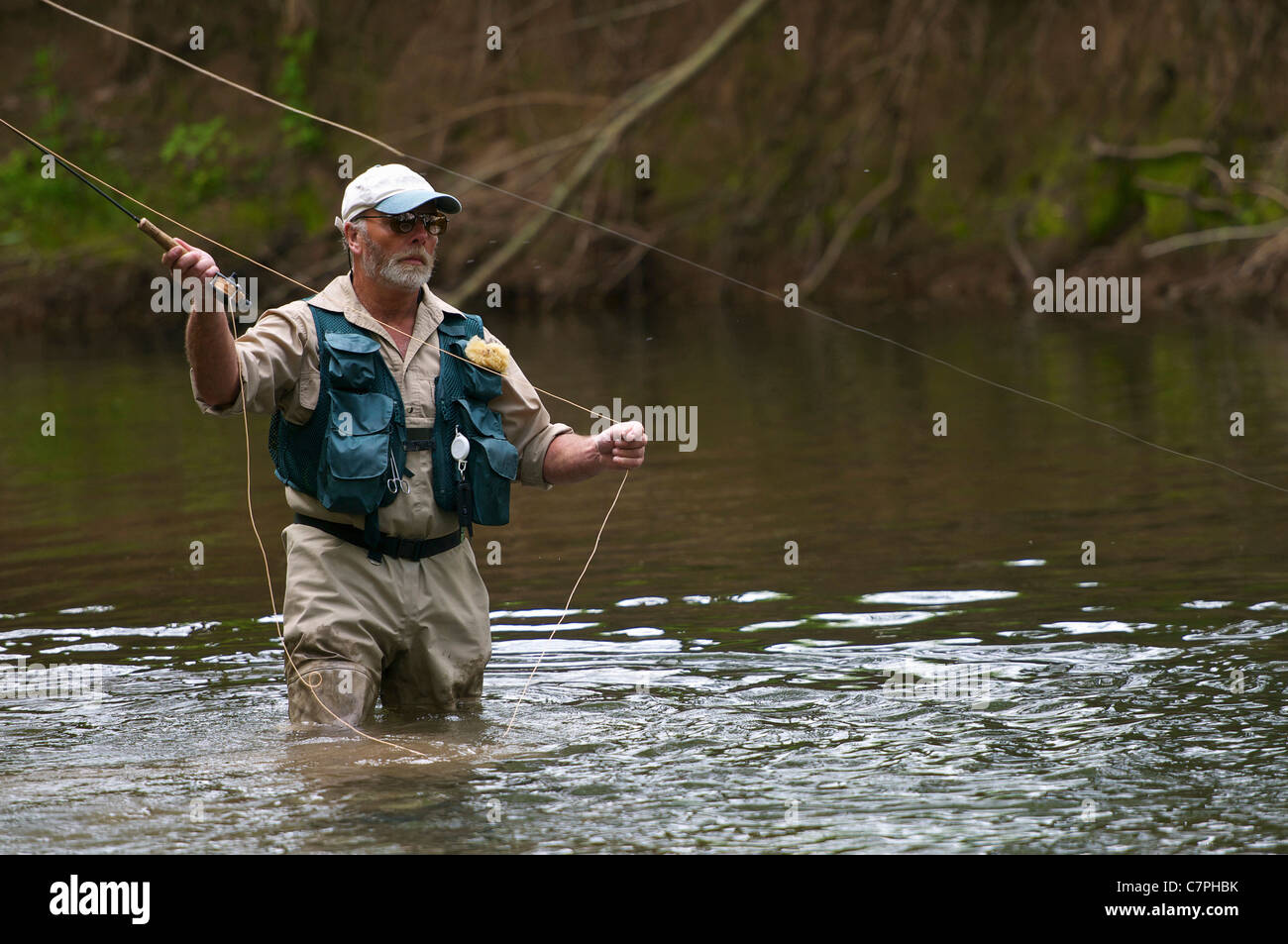 Fly Fisherman Casting