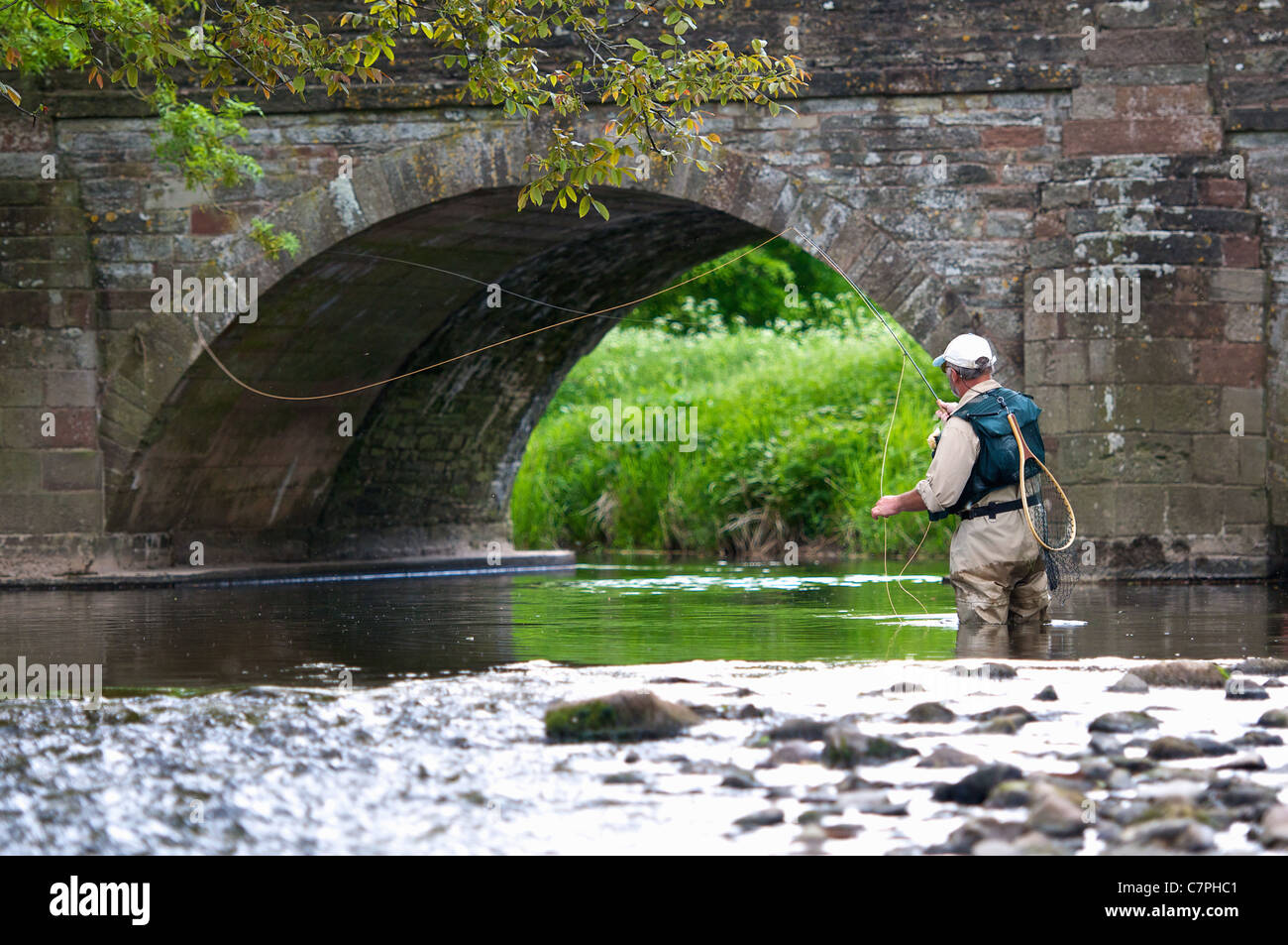 Fly fisherman casting a line in river Stock Photo - Alamy