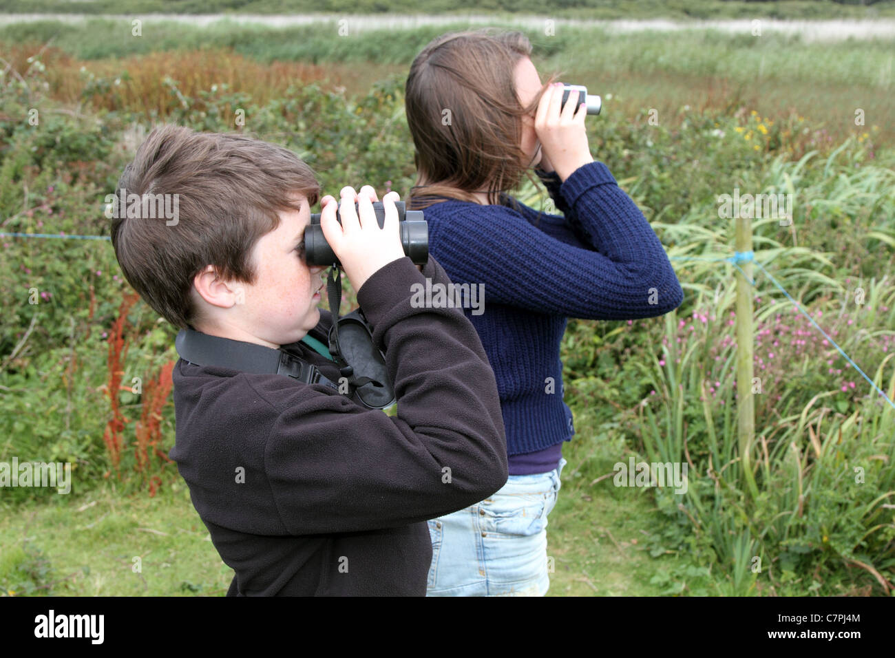 Boy bird watching birdwatching hi-res stock photography and images - Alamy