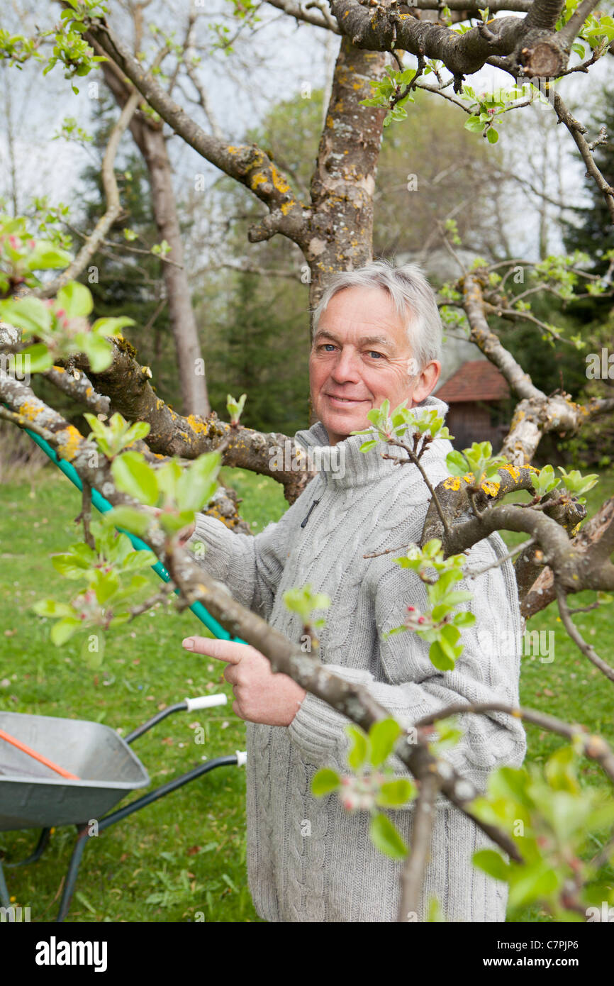 Older man trimming tree in backyard Stock Photo - Alamy